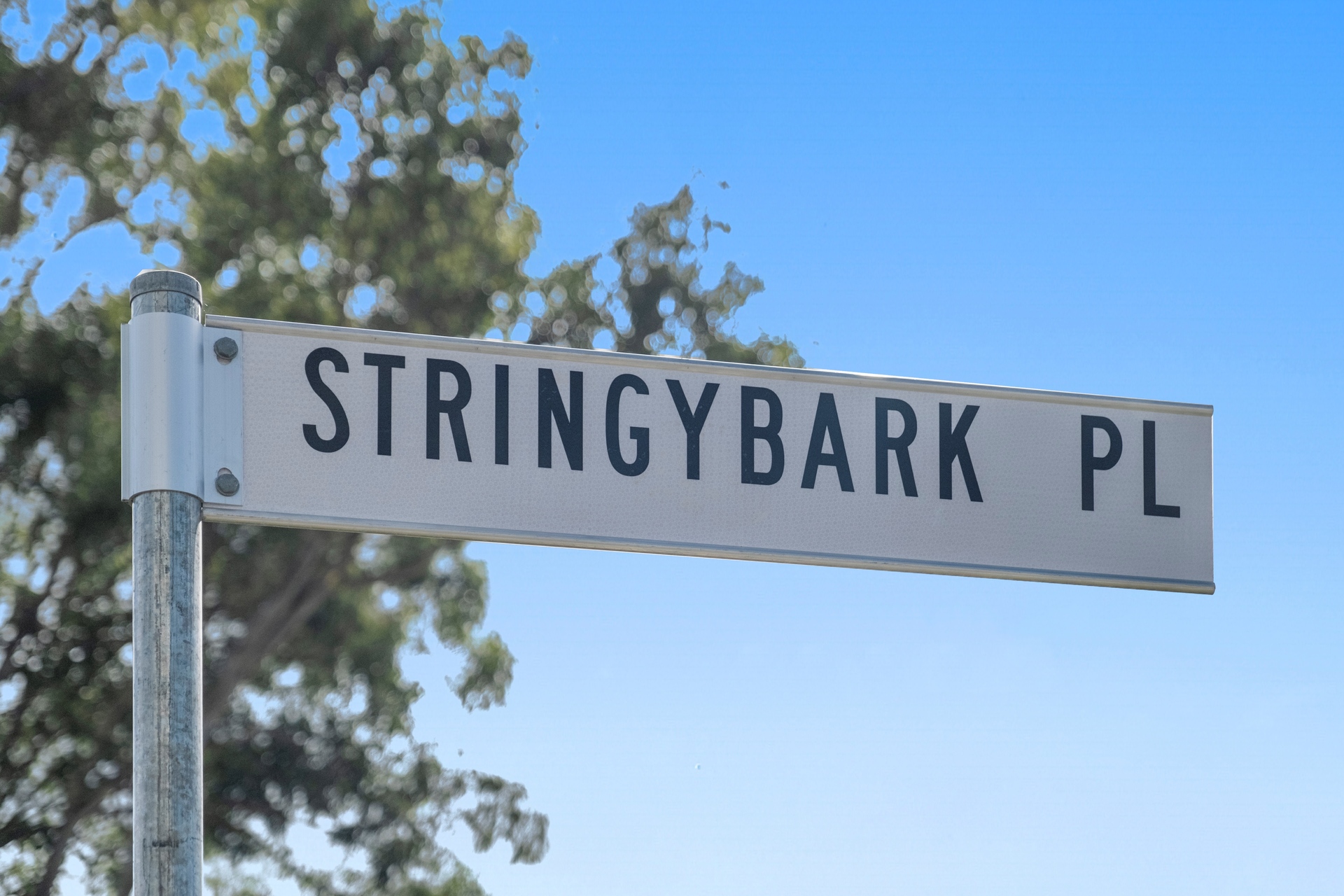52 Mcintosh Creek Road, Jones Hill QLD 4570 – McGrath Sunshine Coast ...